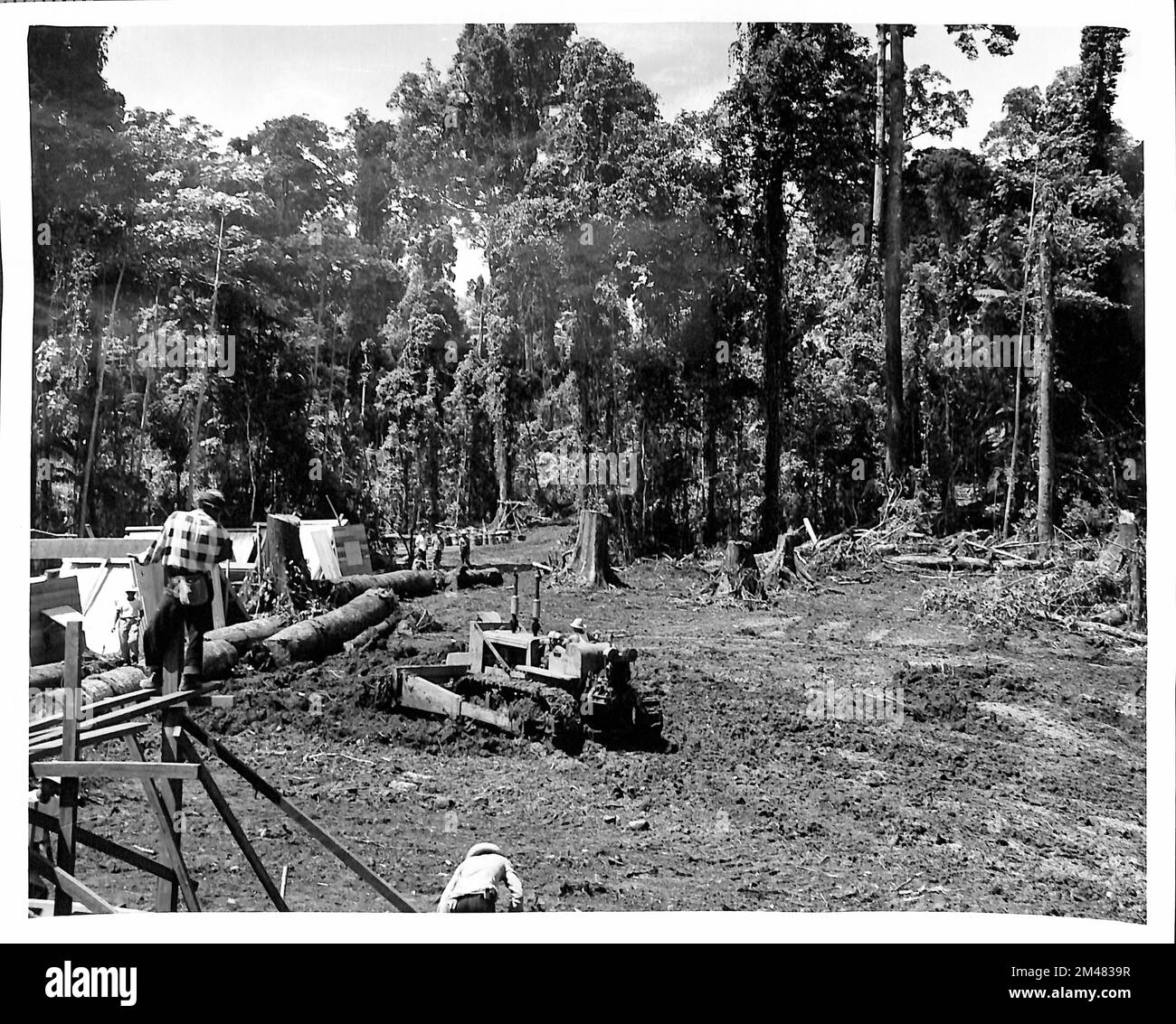 Clearing Campsite Gibong-bayugan Section. Original caption: Taken by C ...