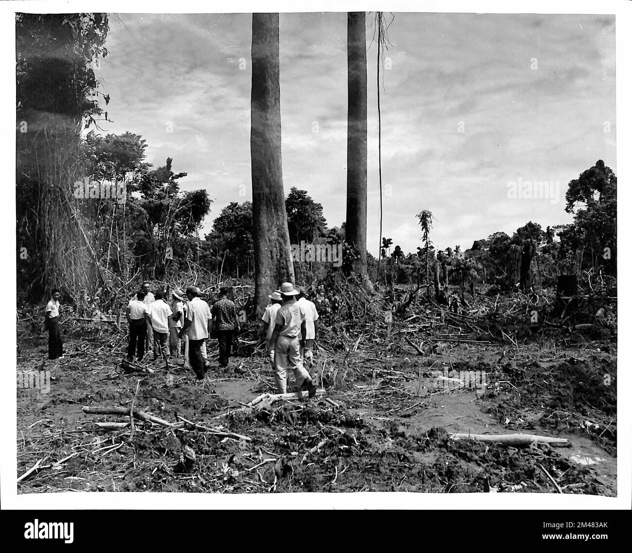 Clearing For Camp Site on San Francisco-gibong Section. Original ...