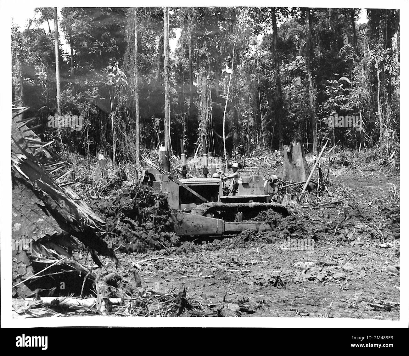 Clearing Campsite Gibong-bayugan Section. Original caption: Taken by C ...