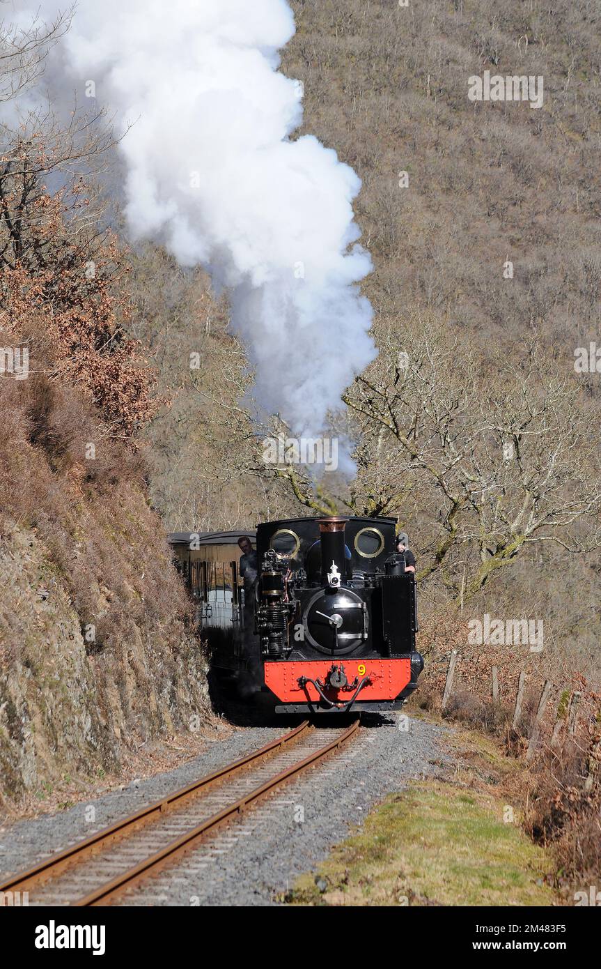 Vale rheidol narrow gauge railway hi-res stock photography and images - Alamy
