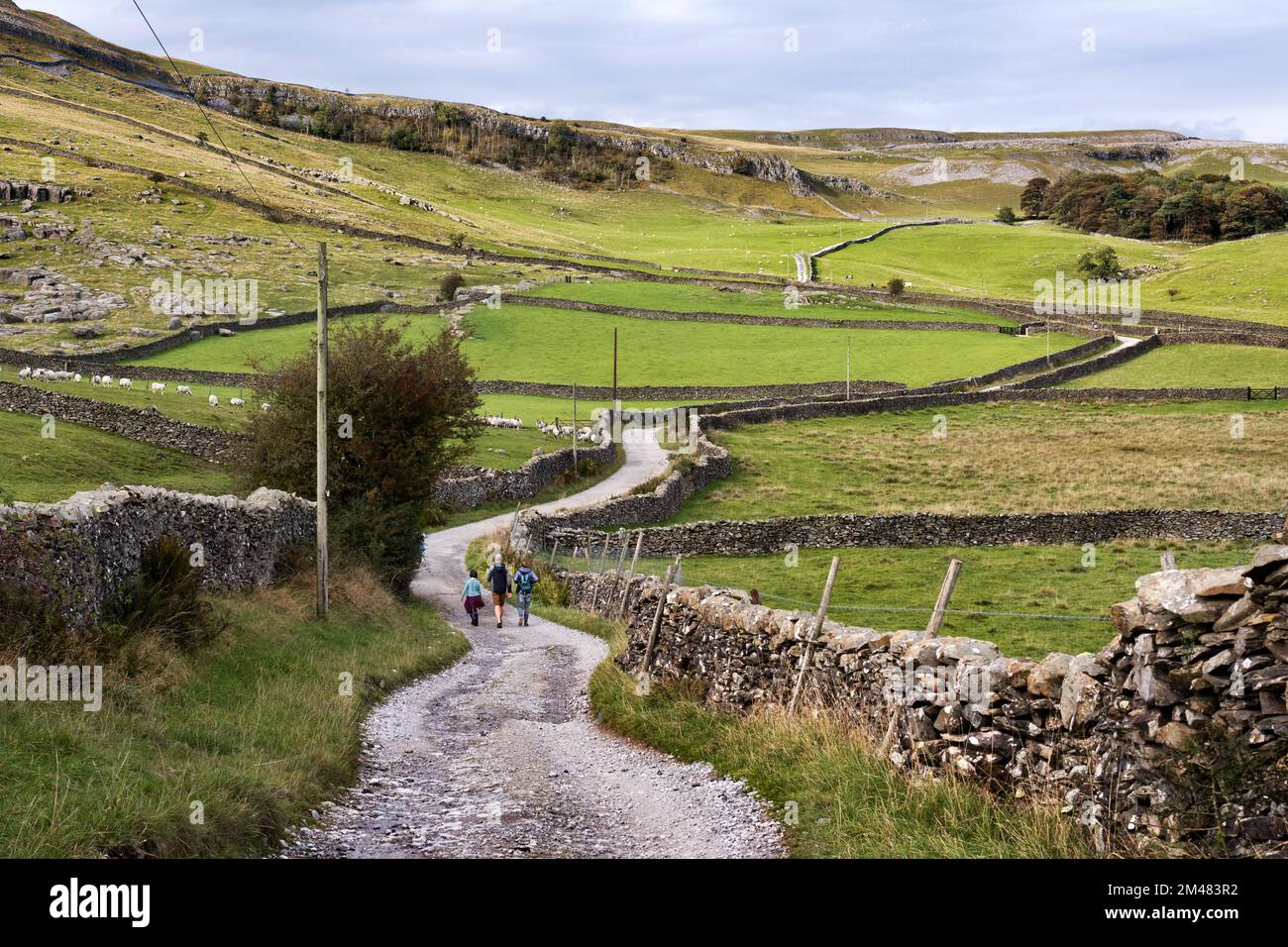 Walkers sheep hi-res stock photography and images - Alamy