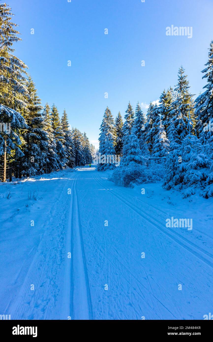 Beautiful winter landscape on the heights of the Thuringian Forest near ...