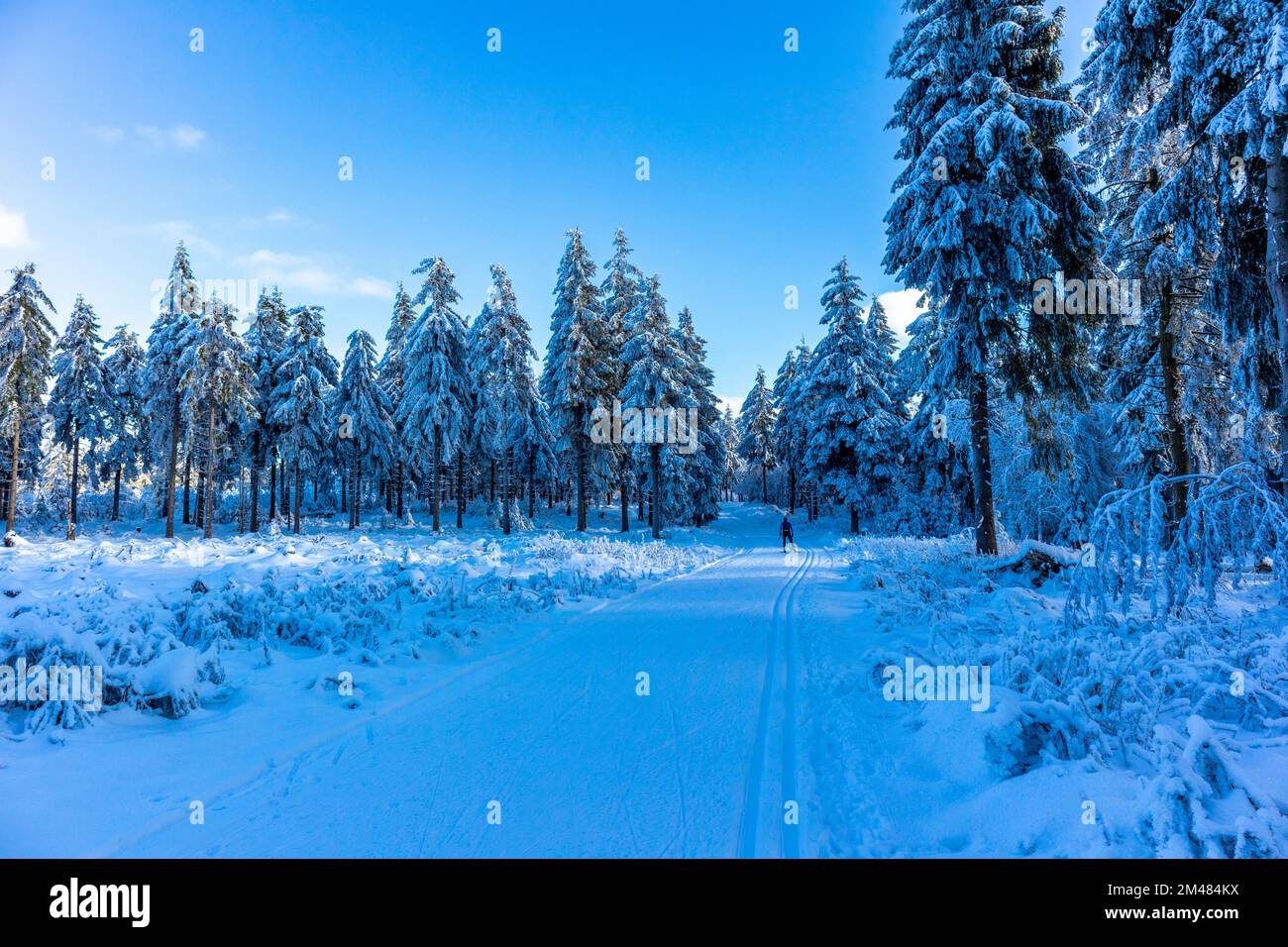 Beautiful winter landscape on the heights of the Thuringian Forest near ...