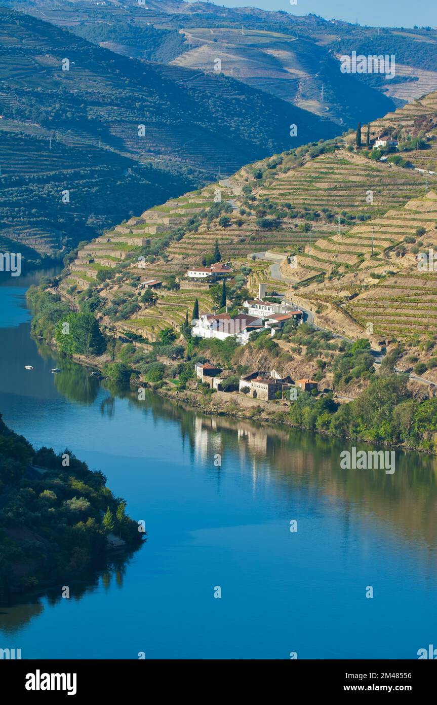 Douro river and Porto Wine vineyards, Alto Douro, Tras-os-Montes ...
