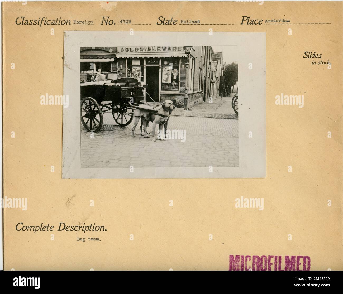 Dog Team Pulling a Cart. Original caption: Dog Team. State: Holland ...