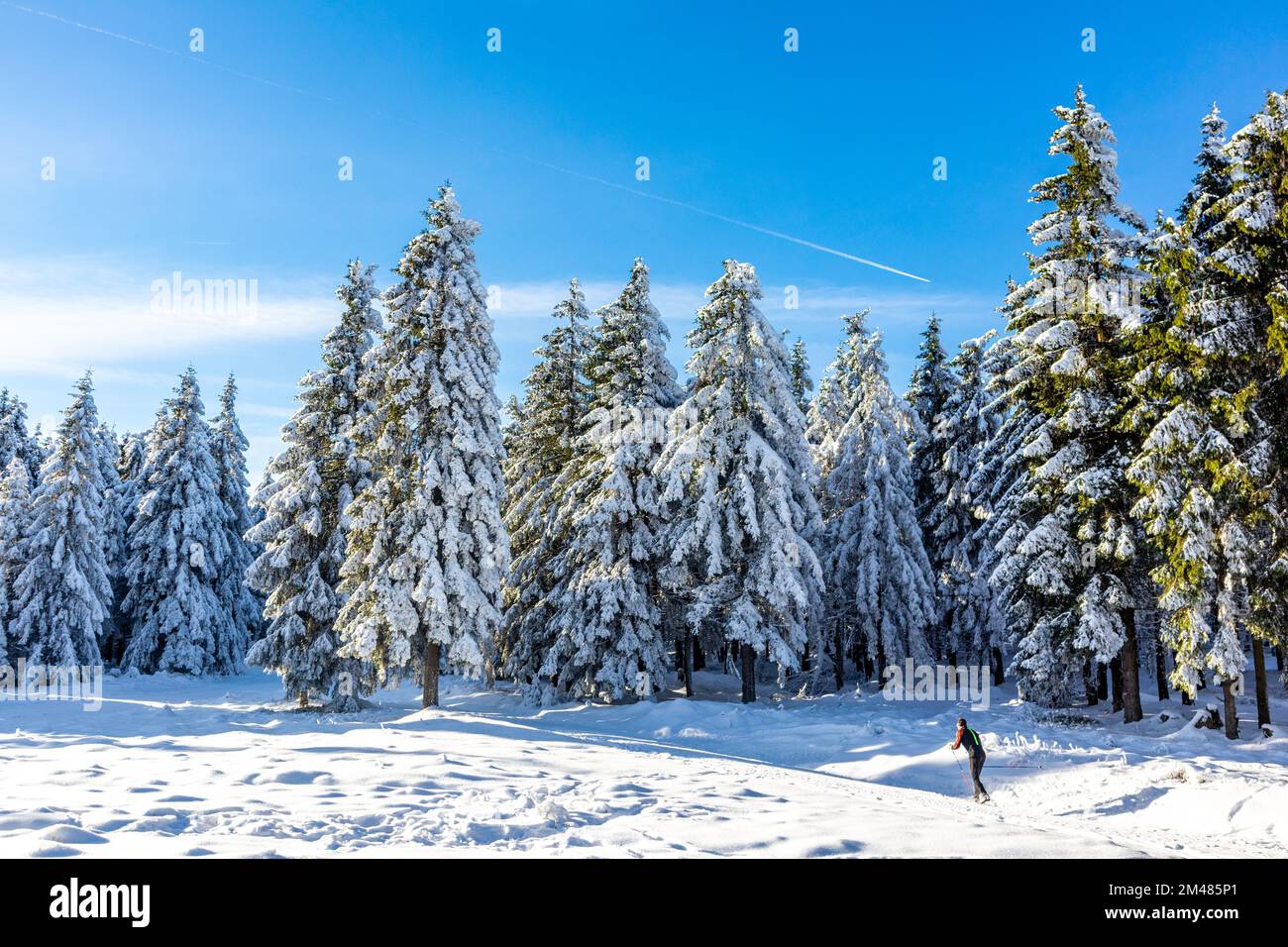 Beautiful winter landscape on the heights of the Thuringian Forest near ...