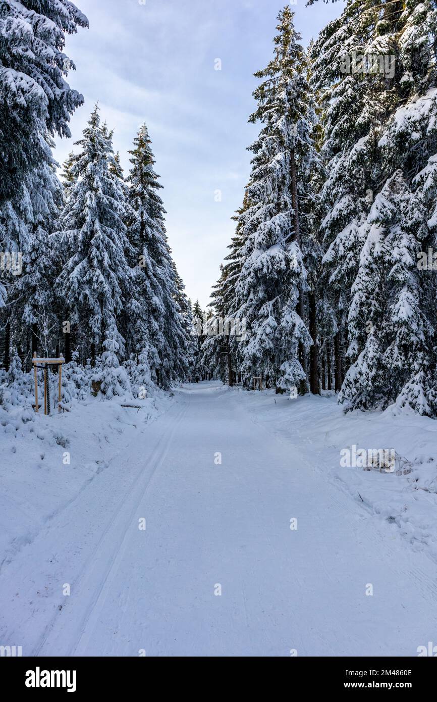 Beautiful winter landscape on the heights of the Thuringian Forest near ...
