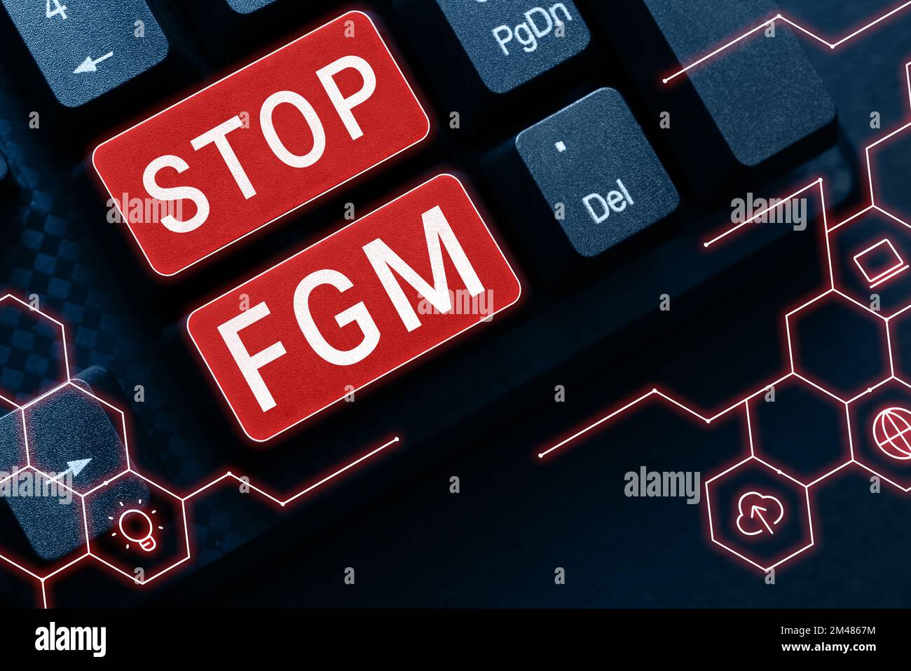 Sign displaying Stop Fgm. Word for Put an end on female genital cutting ...