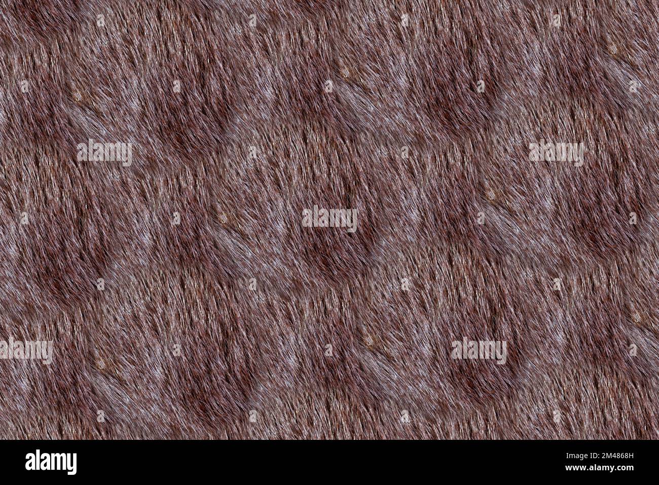 texture of natural beautiful shiny mink Stock Photo - Alamy