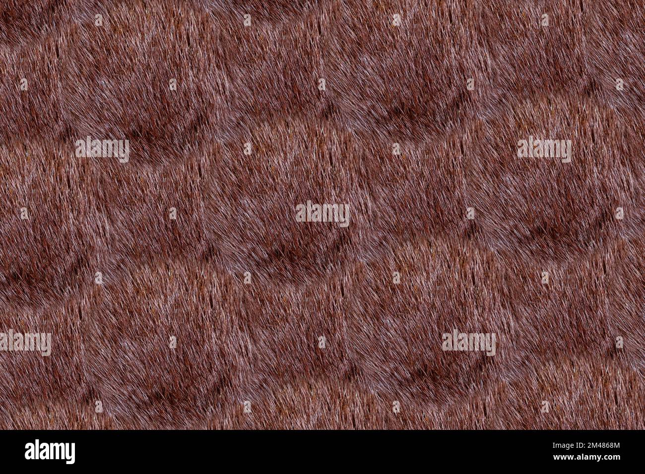 Mink the beautiful animal hi-res stock photography and images - Alamy