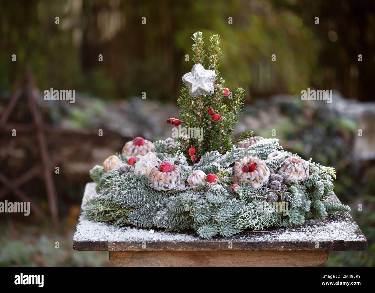 Handmade Christmas wreath for wild birds decorated with rose hip ...