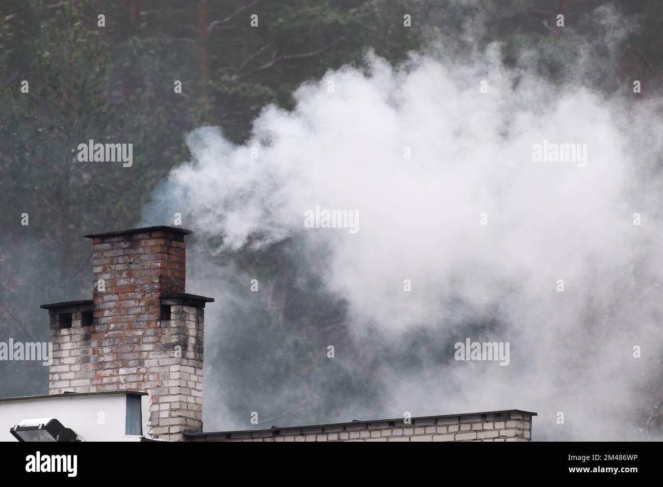 Winter air pollution by smoking chimney in Gdansk, Poland © Wojciech ...