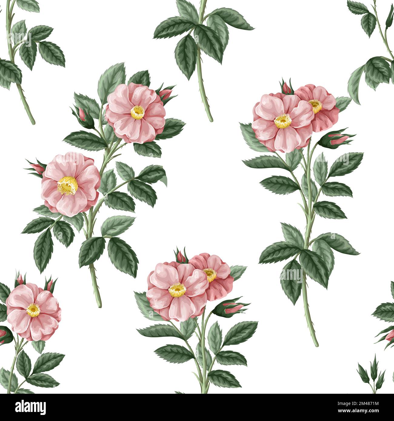 Painting pretty roses rose greeting Cut Out Stock Images & Pictures - Alamy