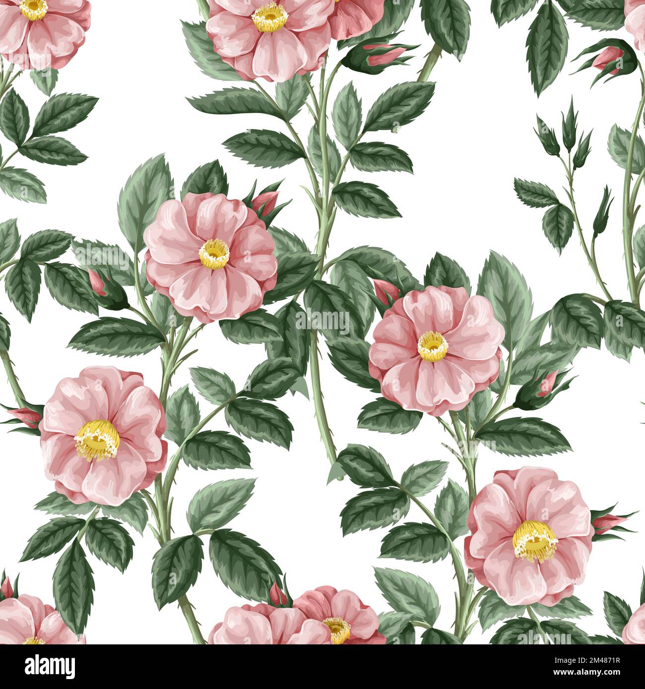 Small white petal flower Stock Vector Images - Alamy