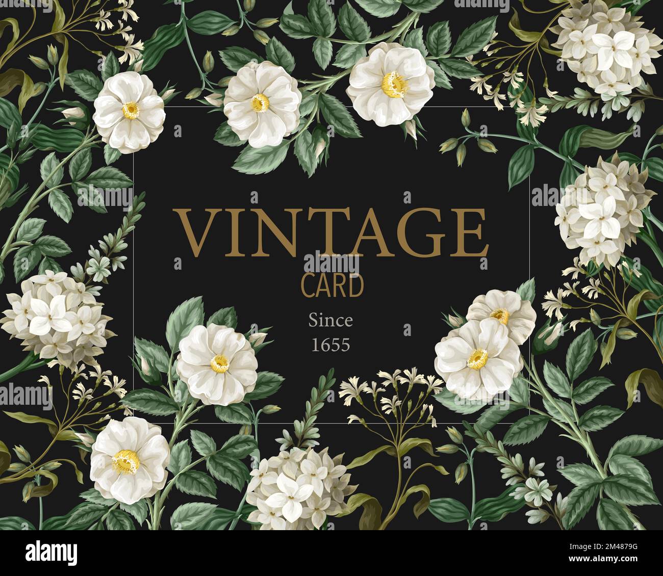 White rose vintage background Stock Vector Images - Alamy