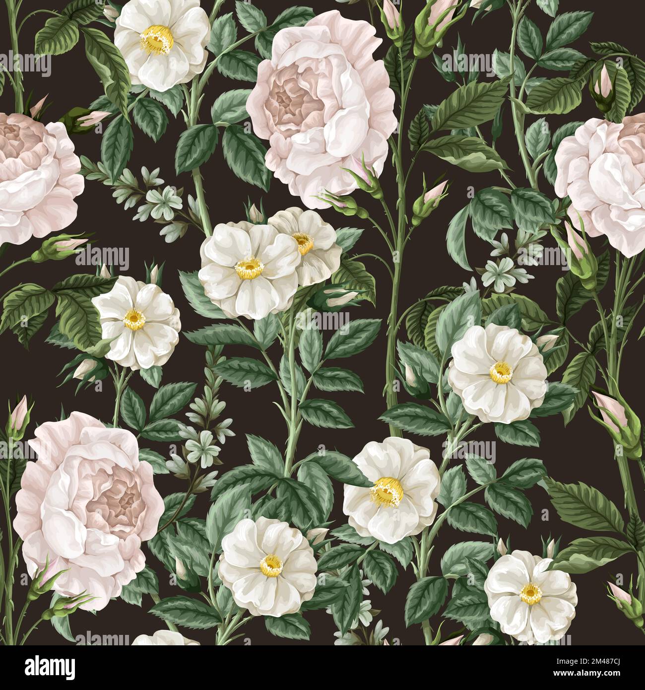 Seamless pattern with white roses. Vector Stock Vector Image & Art - Alamy