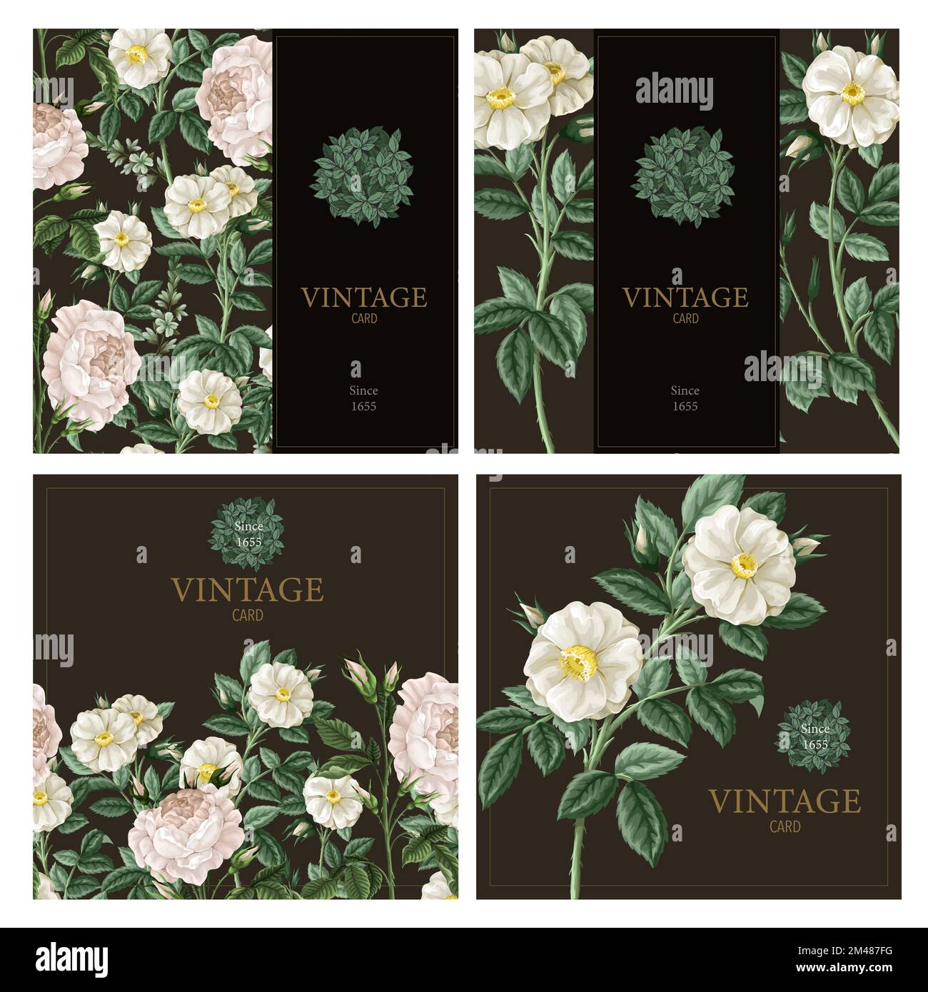 Card with botanical white roses in vintage style. Vector Stock Vector ...