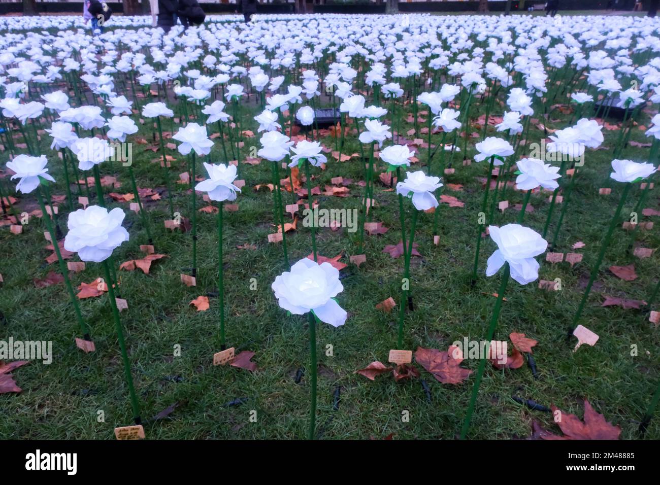 Grosvenor Square, London, UK. 19th Dec 2022. The Ever After Garden in ...
