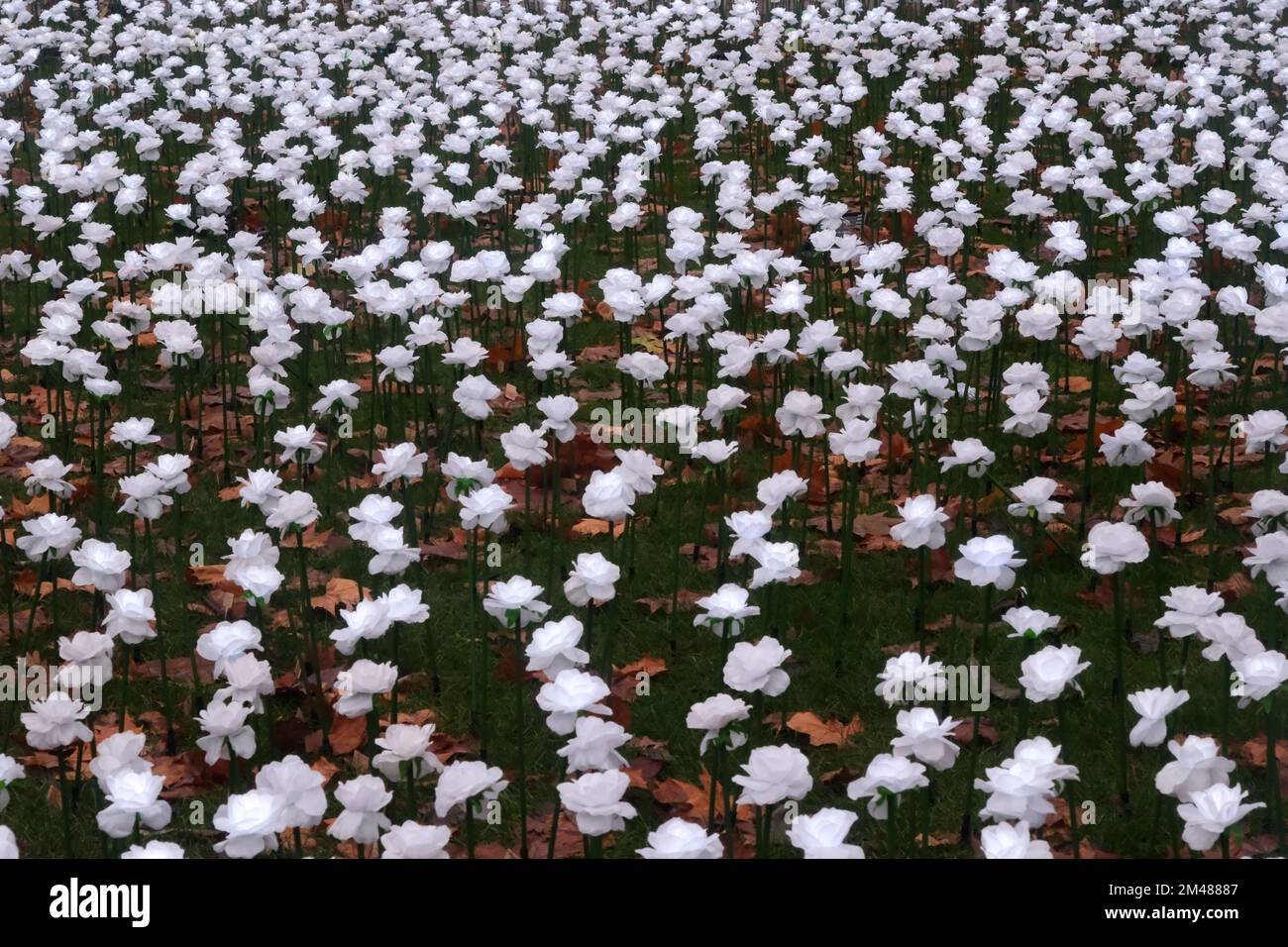 Grosvenor Square, London, UK. 19th Dec 2022. The Ever After Garden in ...