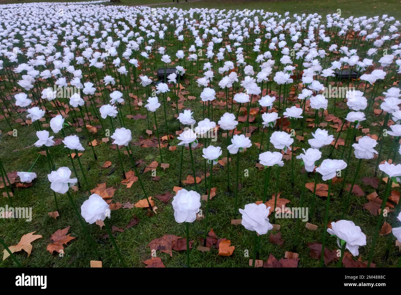 Royal marsden cancer charity hi-res stock photography and images - Alamy