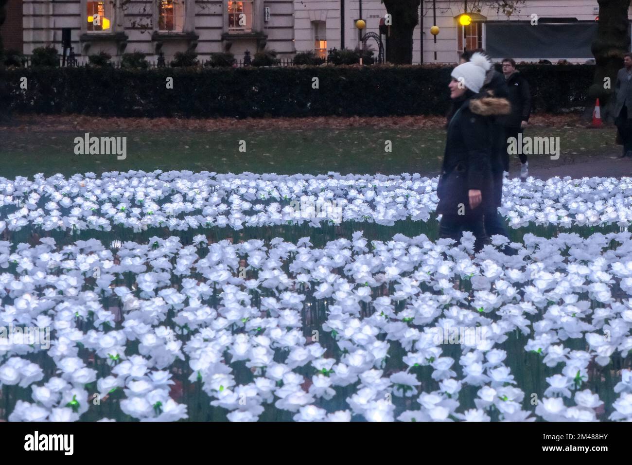 Grosvenor Square, London, UK. 19th Dec 2022. The Ever After Garden in ...