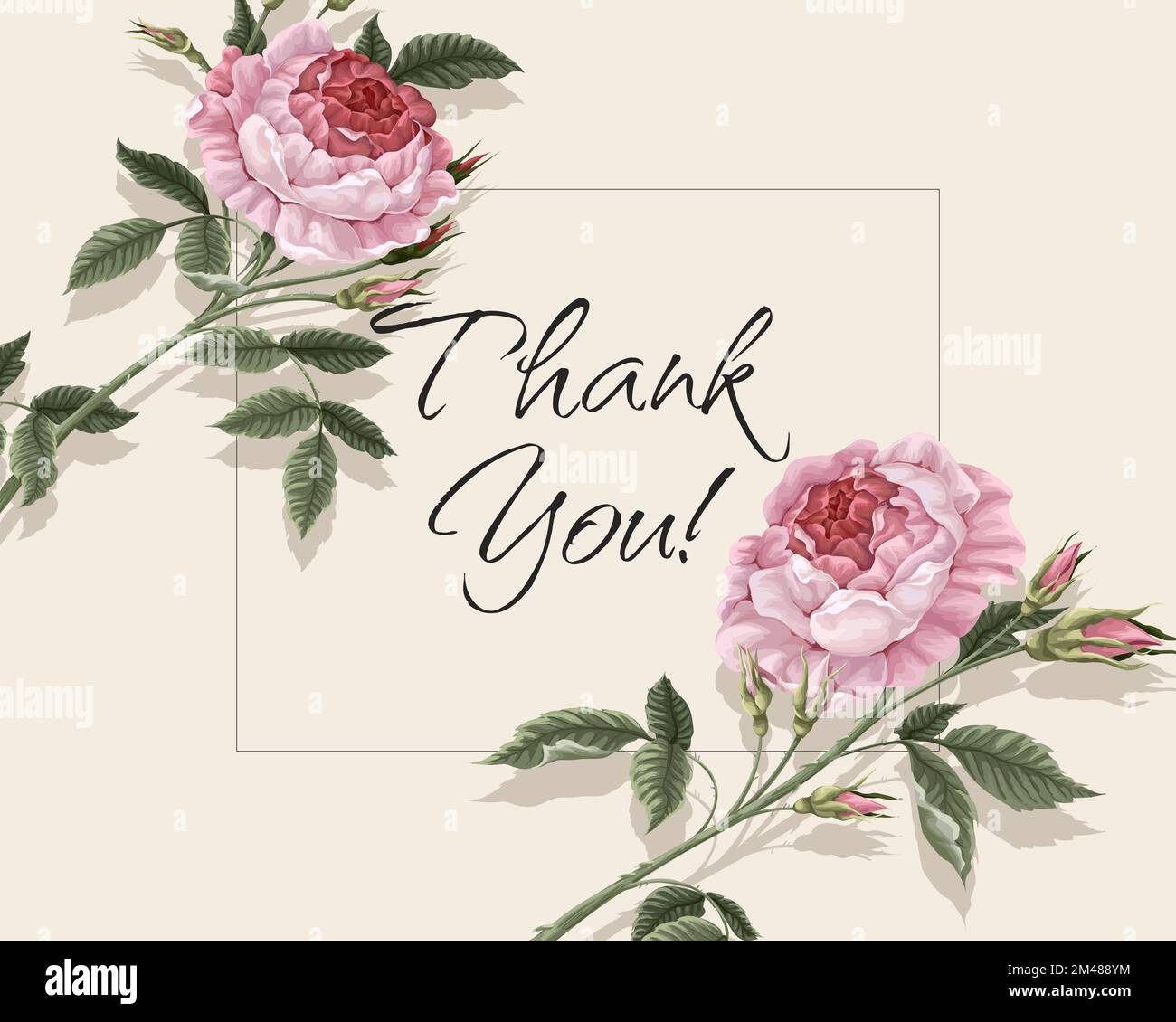 Invitation card with pink roses. Vector Stock Vector Image & Art - Alamy