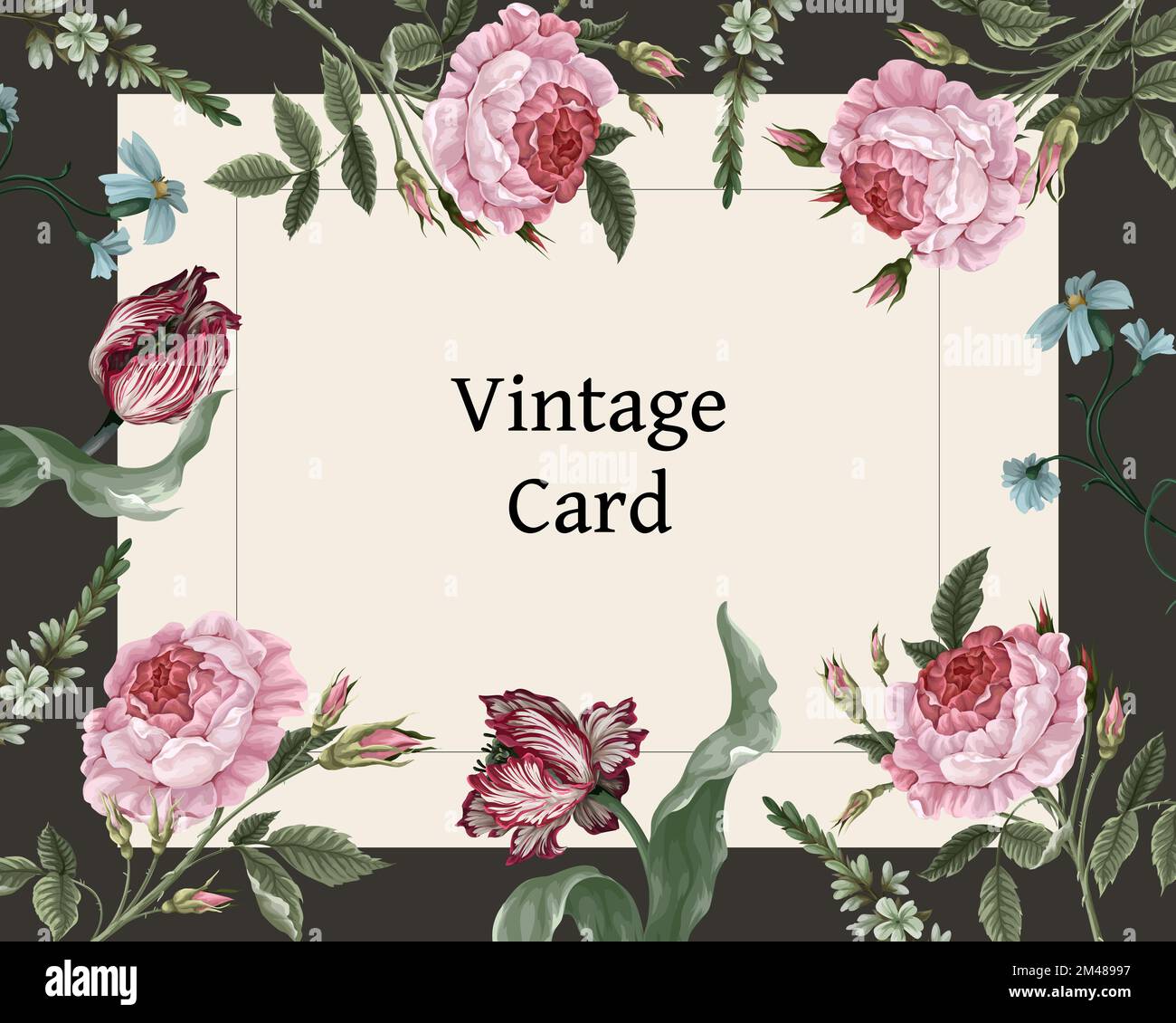 Tulips roses Stock Vector Images - Alamy