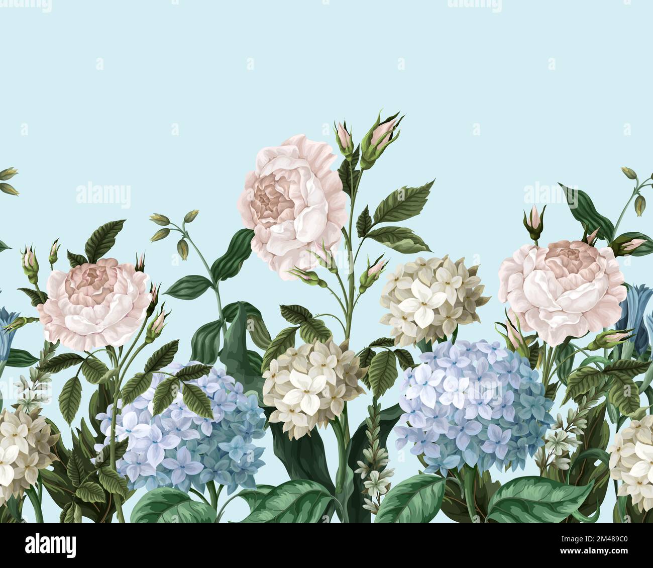 Pink hydrangea flower border Stock Vector Images - Alamy