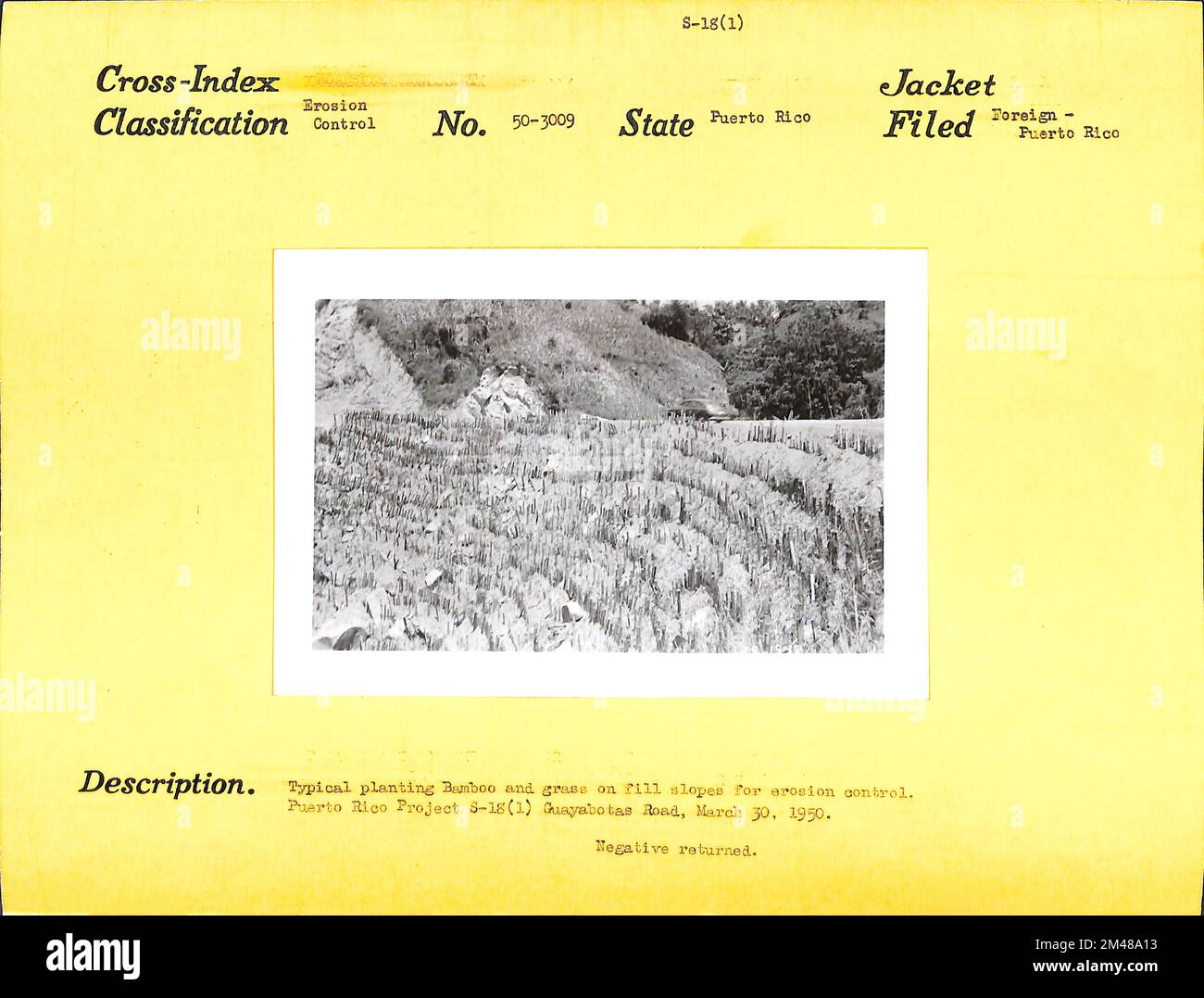 Typical planting on fill slopes for erosion control, Puerto Rico ...