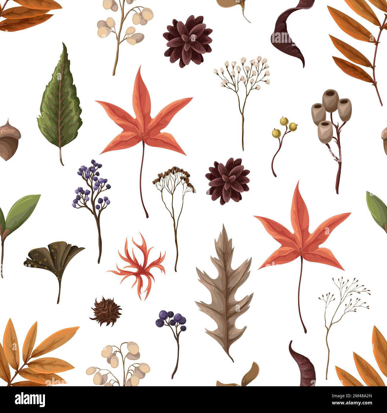 Background dried leaves plants Stock Vector Images - Alamy