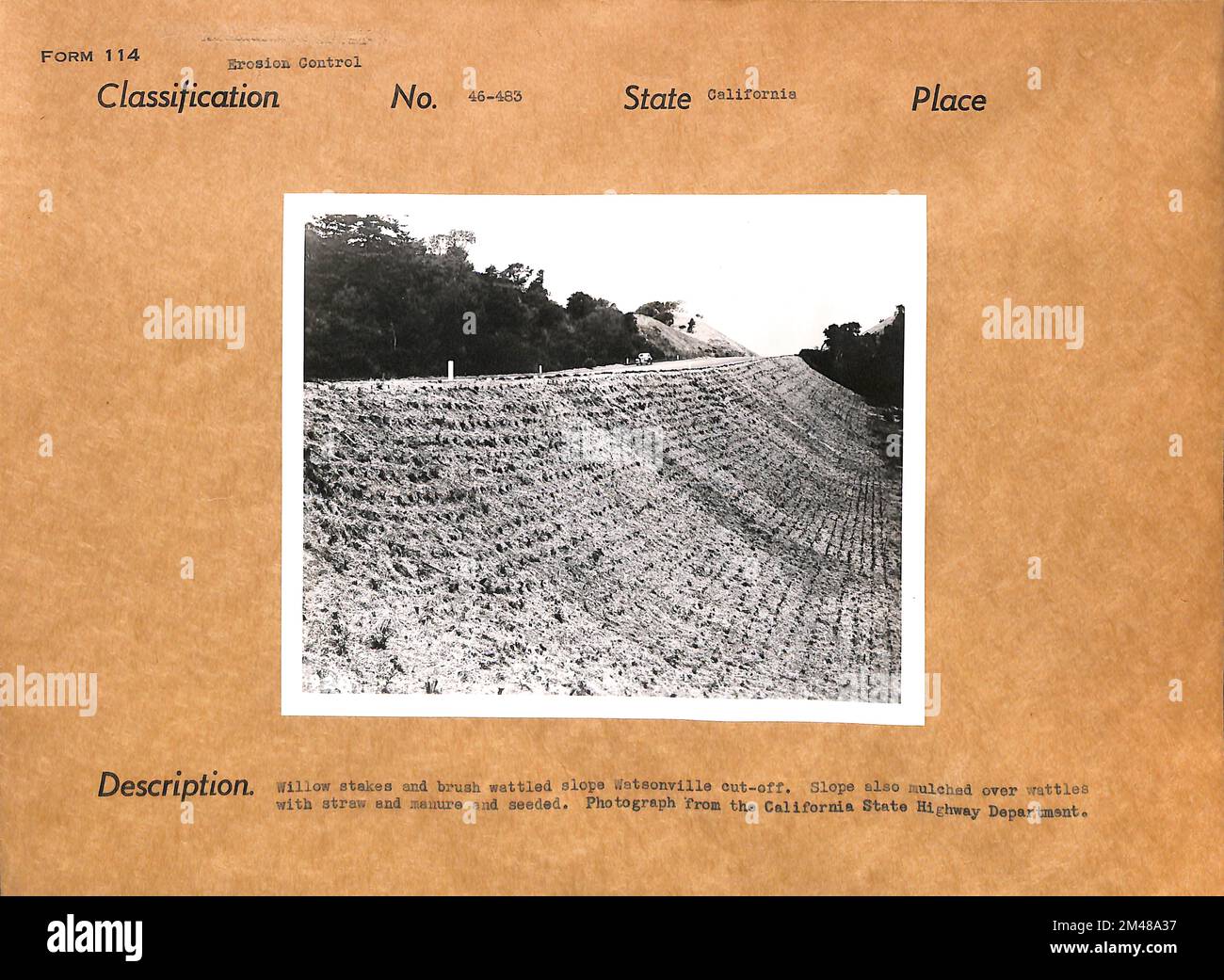 Willow stakes and brush wattle slope Watsonville cut-off. Original ...