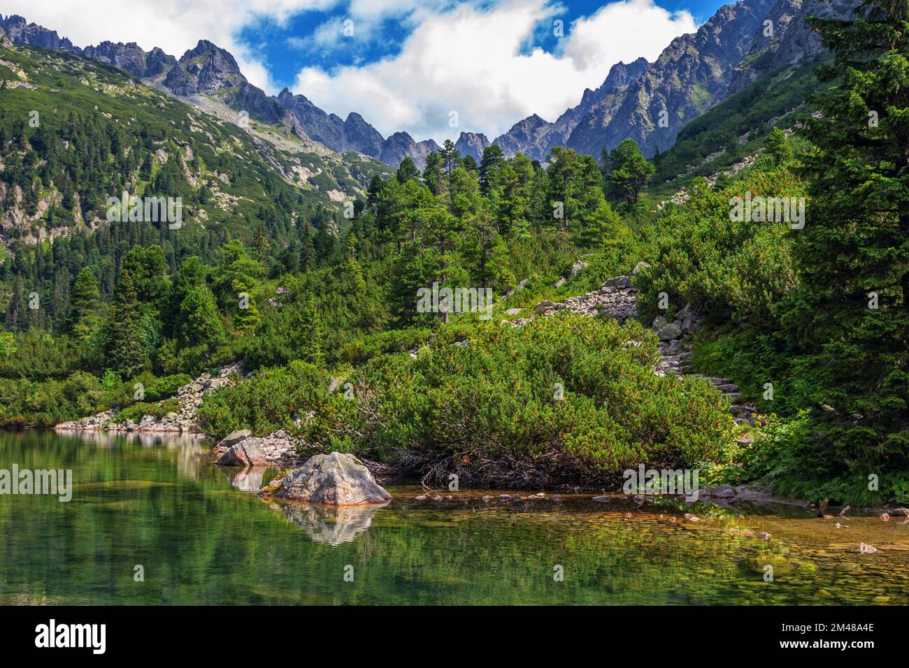 Beautiful summer landscape of High Tatras, Slovakia - Poprad lake, lush ...
