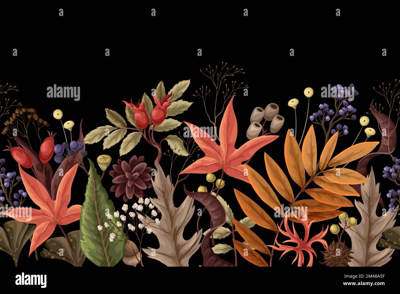 Border with autumn leaves and dried plants. Vector Stock Vector Image ...