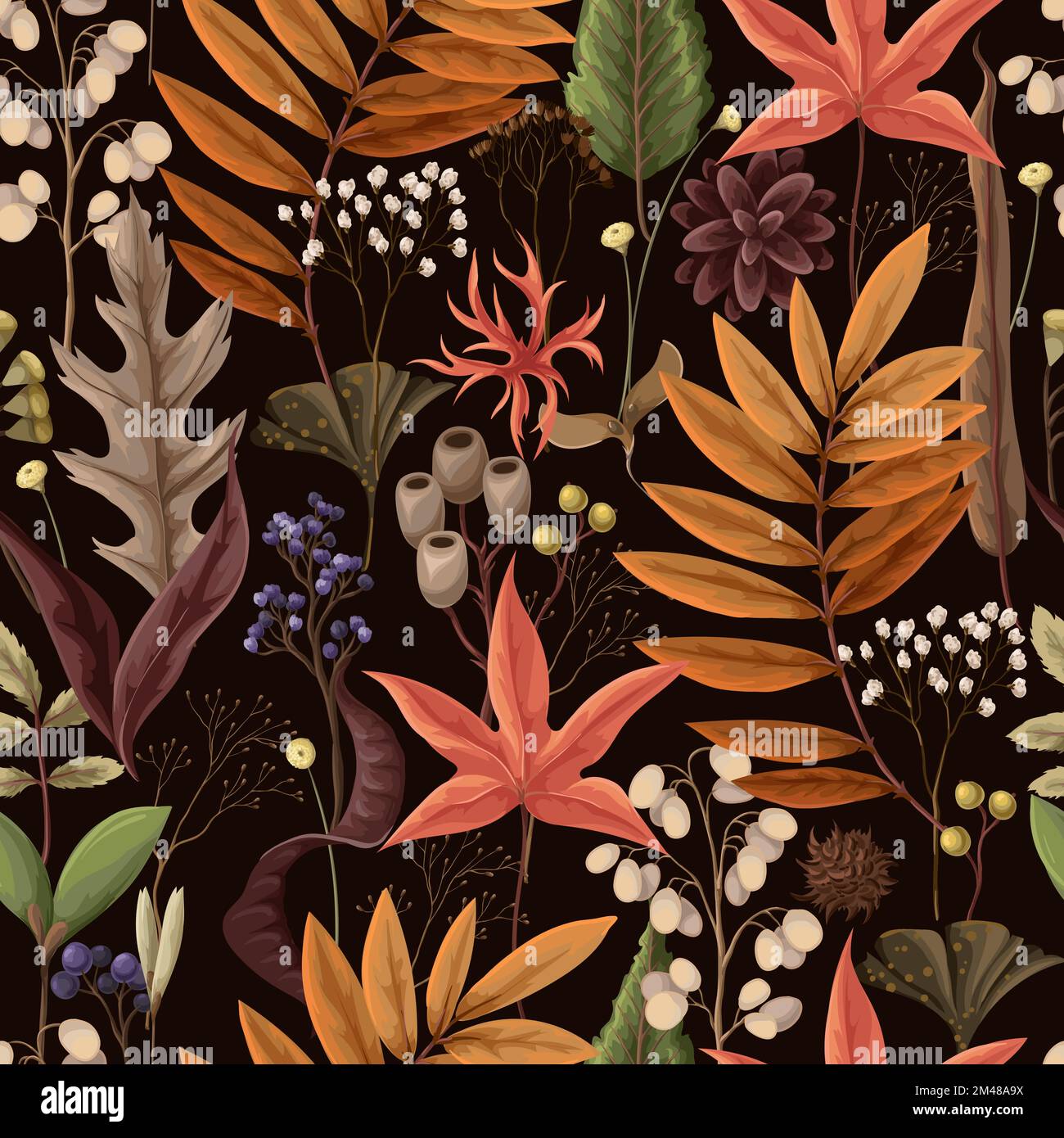 Background dried leaves plants Stock Vector Images - Alamy