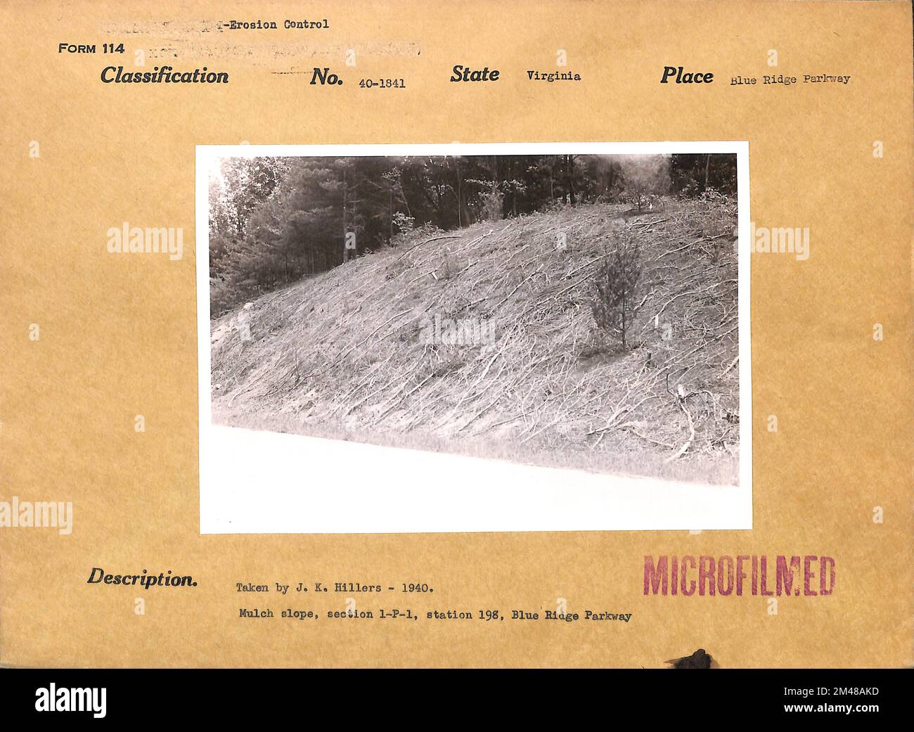Mulch on slope along Blue Ridge Parkway Virginia. Original caption ...