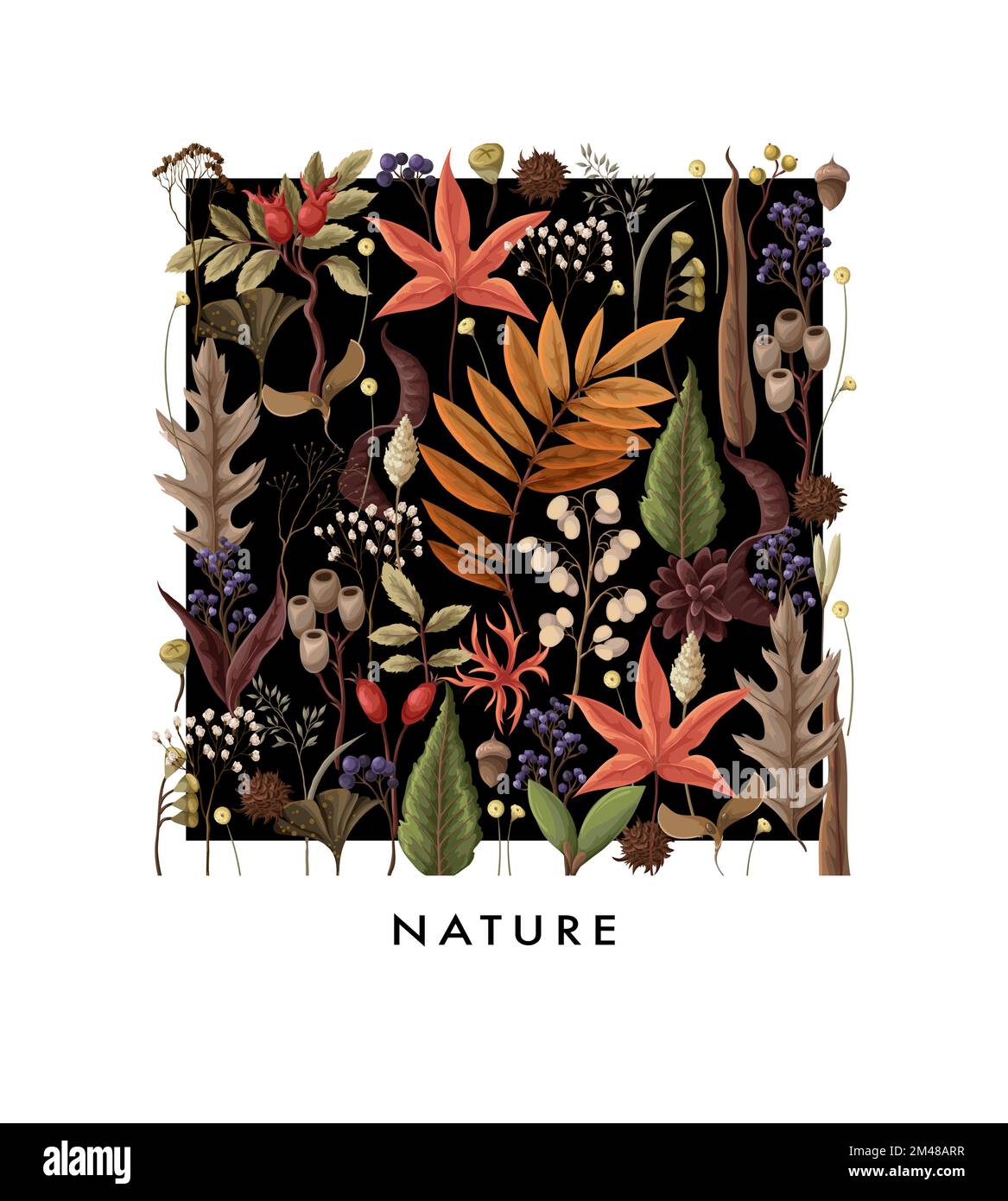 Autumn design frame leaves Cut Out Stock Images & Pictures - Alamy