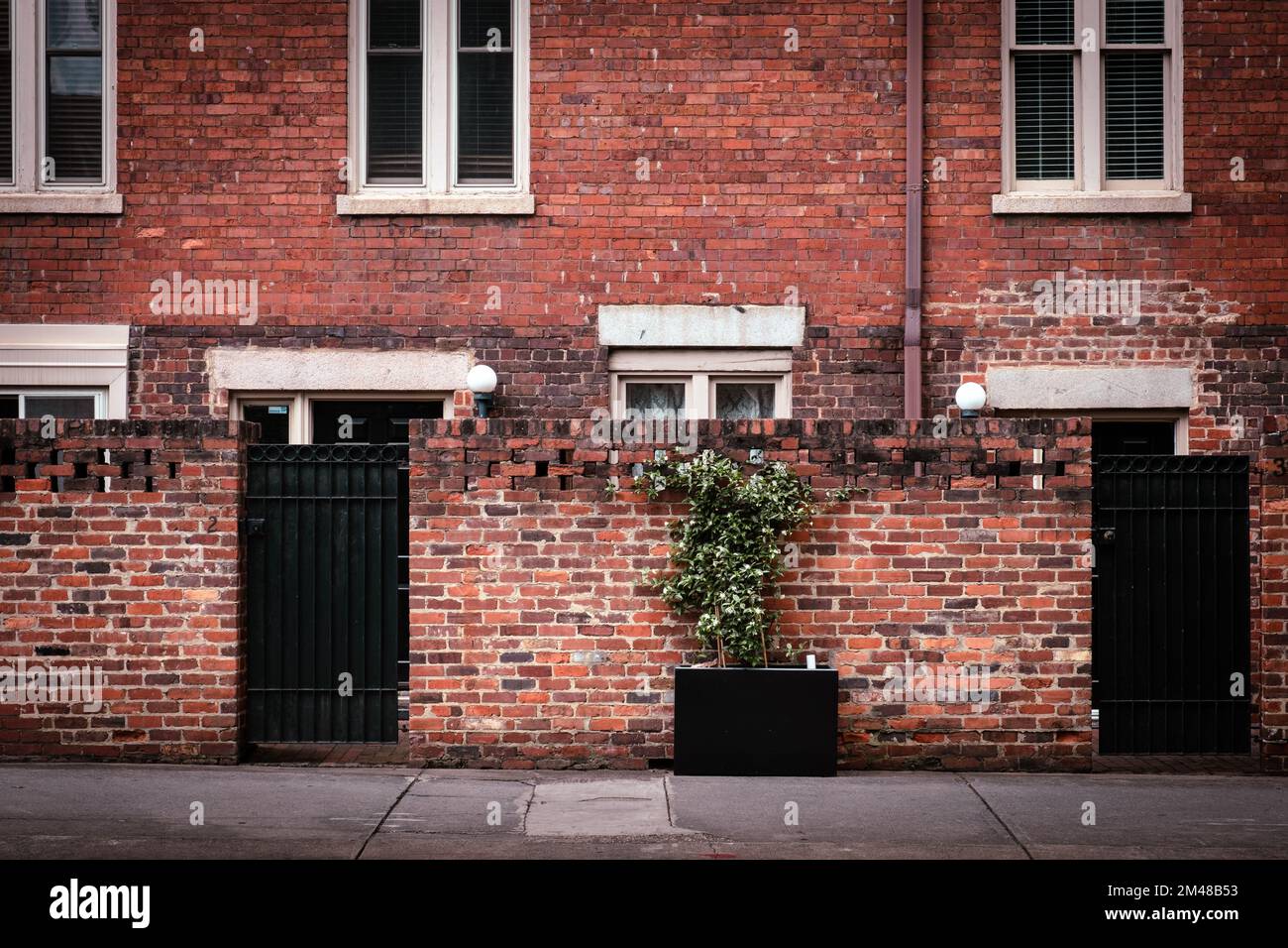 Old brick building, wall and bush in urban environment Stock Photo - Alamy