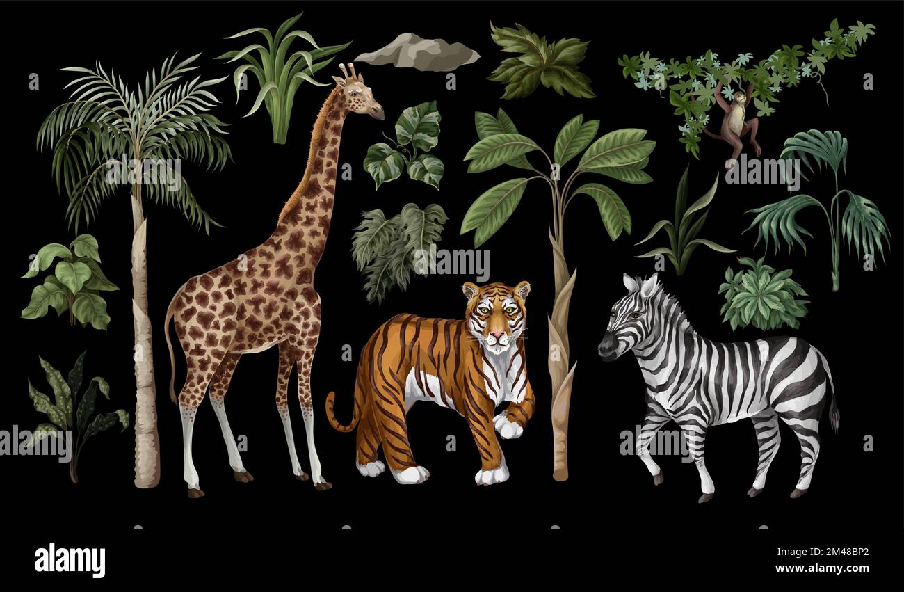 Jungle animals and trees isolated. Vector Stock Vector Image & Art - Alamy
