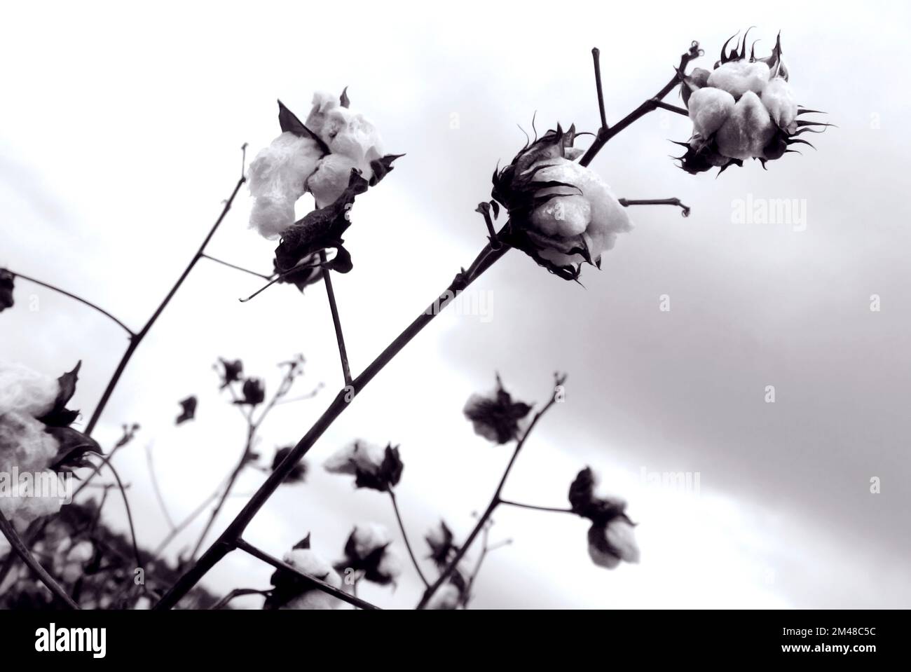 12 october 2005 hi-res stock photography and images - Alamy