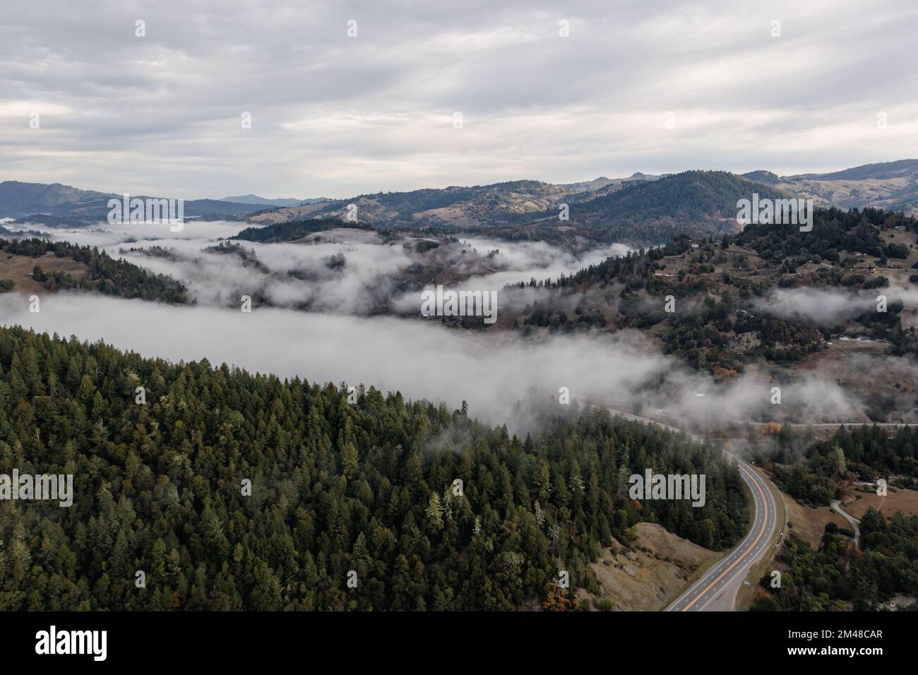 Redwood highway hi-res stock photography and images - Alamy