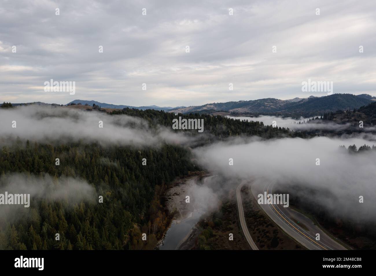 Redwood highway hi-res stock photography and images - Alamy