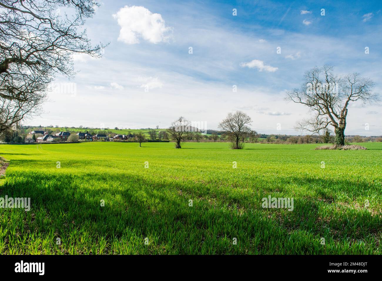 Beautiful green fields of England on a summers day with fluffy sky ...