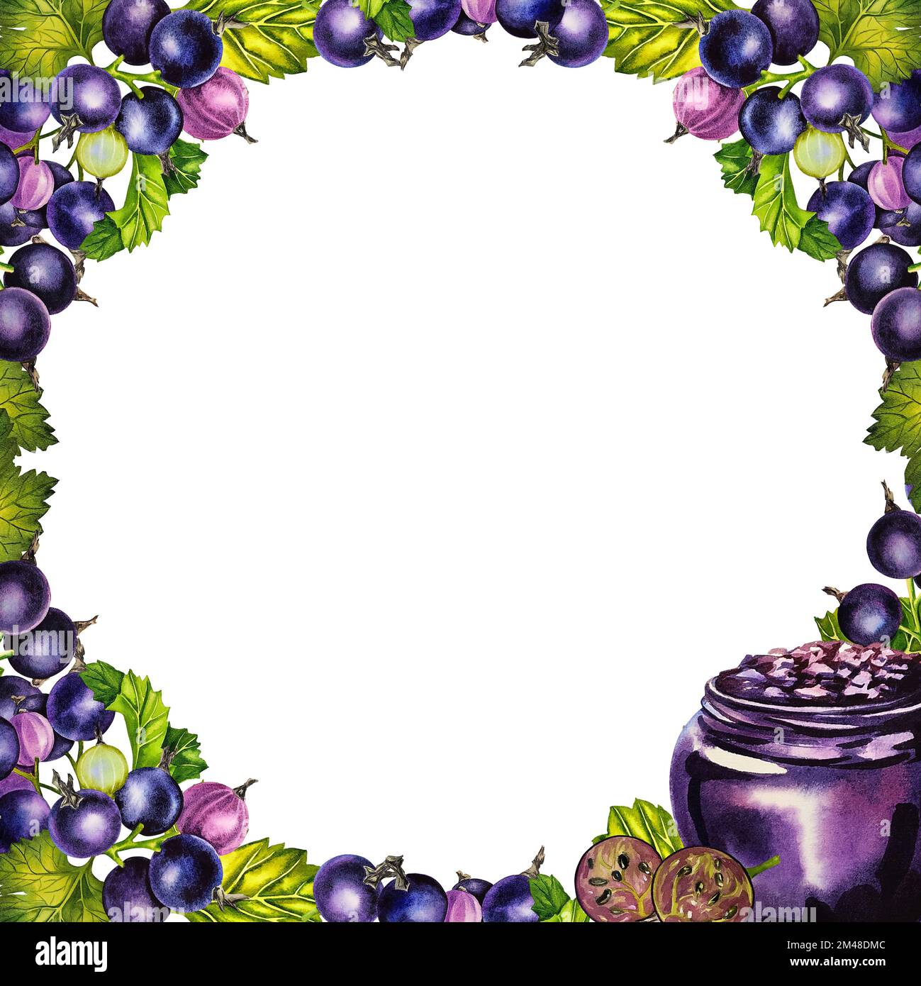 Blackcurrant jam, frame. Watercolor illustration. For labels, packaging ...