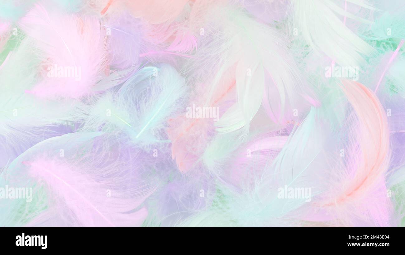 Colorful feather on mint background, top view Stock Photo - Alamy