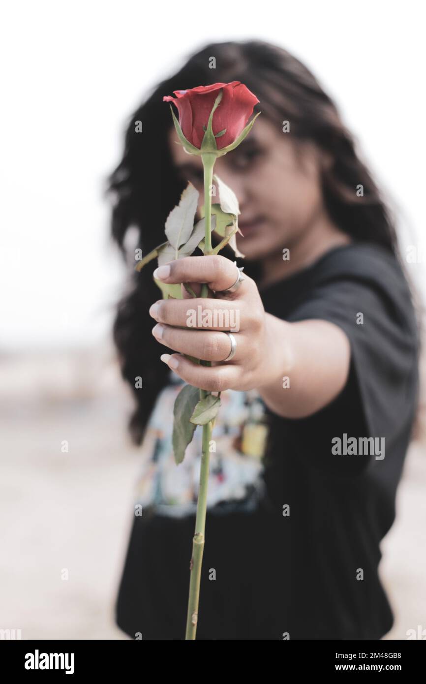Beautiful girl red roses hi-res stock photography and images - Alamy