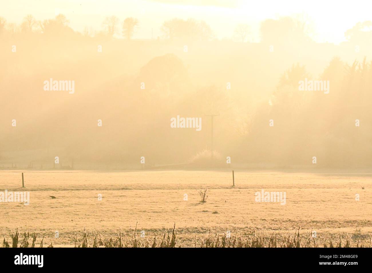 Sun rays in fog, Thomastown, Co. Kilkenny, Ireland Stock Photo - Alamy