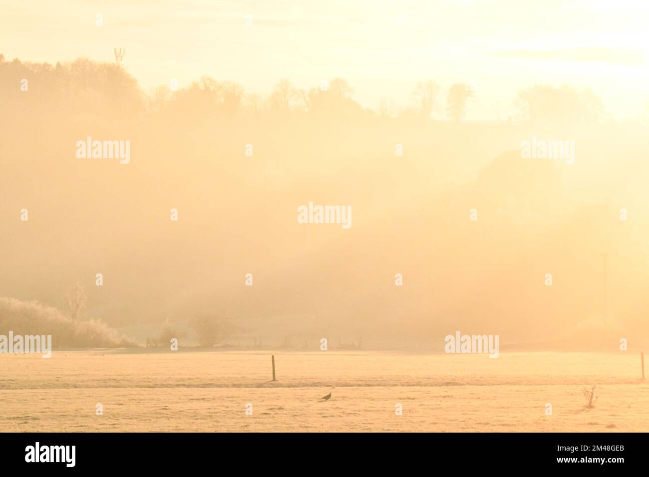 Sun rays in fog, Thomastown, Co. Kilkenny, Ireland Stock Photo - Alamy