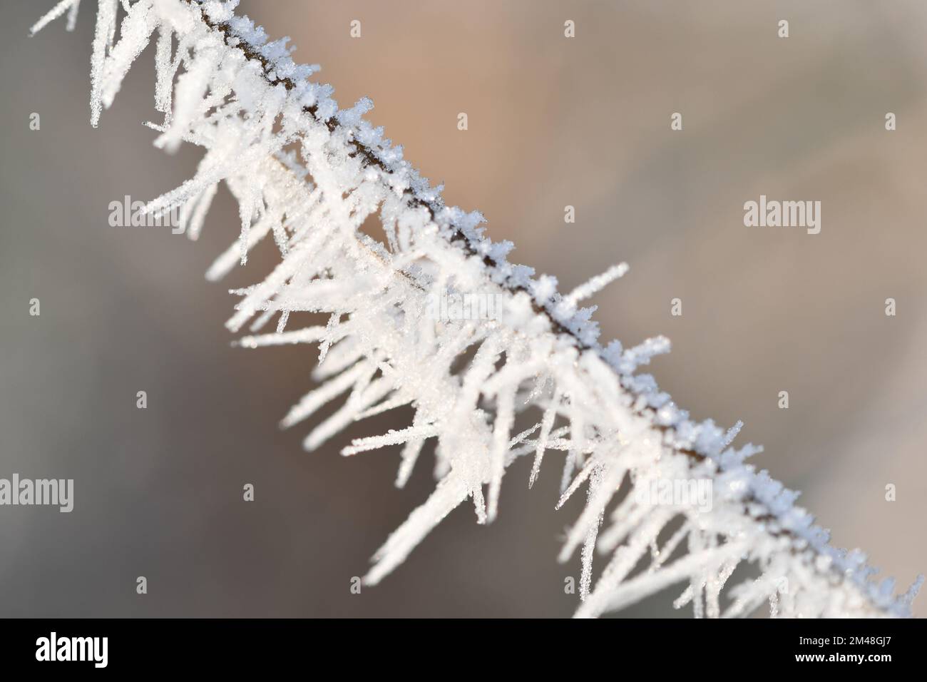 Frozen wires hi-res stock photography and images - Alamy