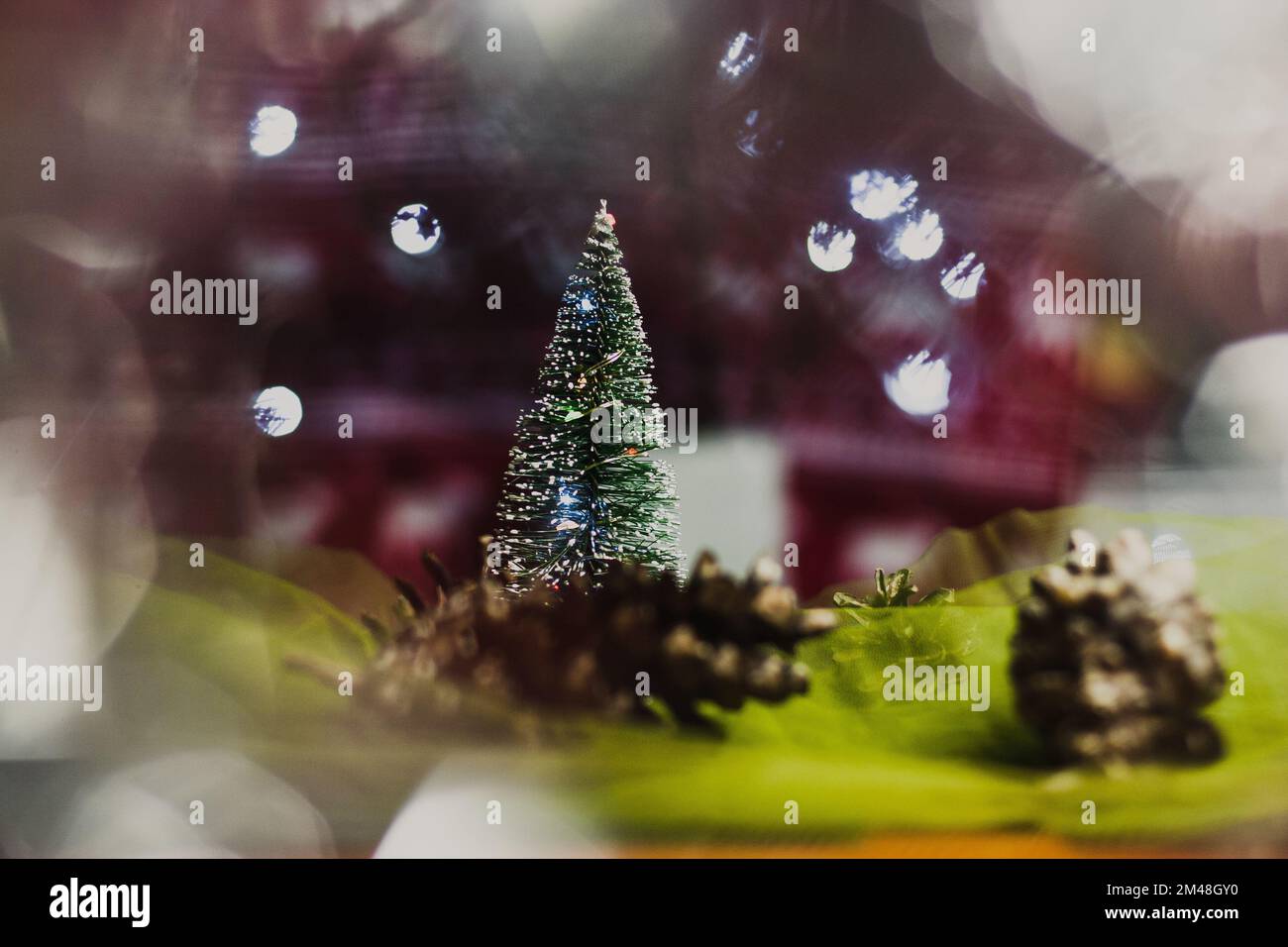 Christmas and New Year's card with a small artificial green tree and ...