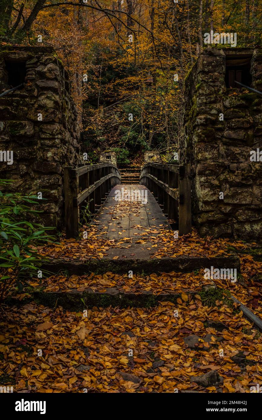 Swinging Bridge and Fall Foliage Stock Photo - Alamy